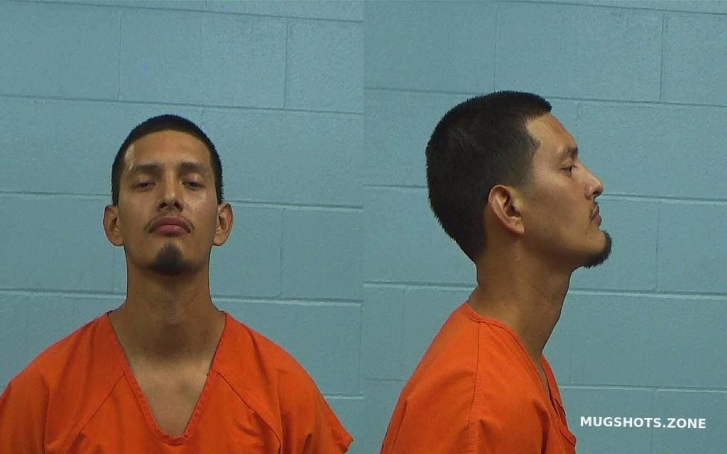 BROWN MICHAEL ALLEN 07/28/2025 - Williamson County Mugshots Zone