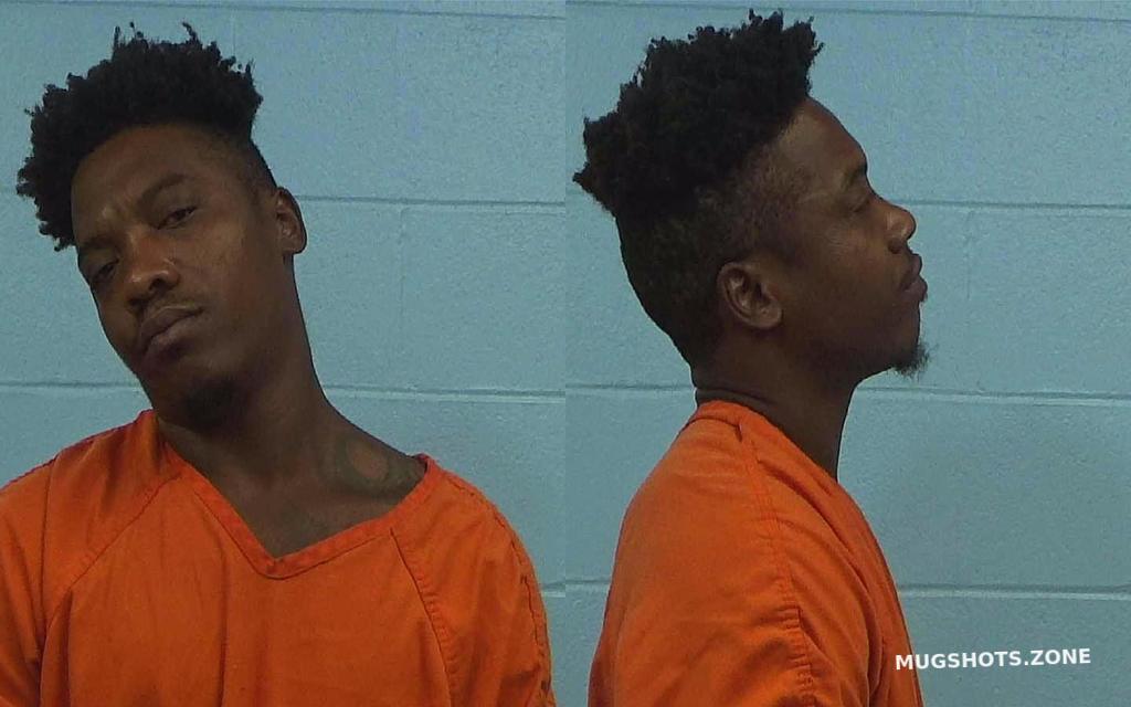 LEWIS TREVON ALLEN 08/02/2025 - Williamson County Mugshots Zone