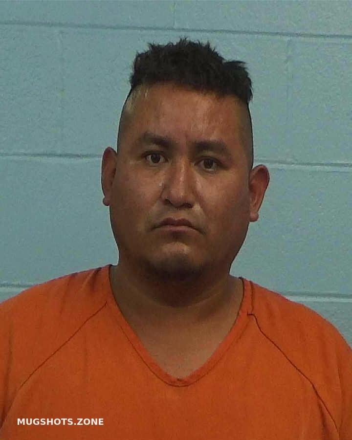 TERRAZAS OLGERA JOSE JULIO 08/07/2025 - Williamson County Mugshots Zone
