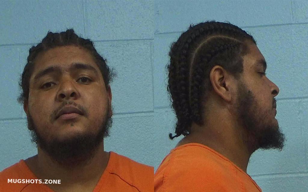 BRITTON JOSEPH SAMUEL 08/13/2025 - Williamson County Mugshots Zone
