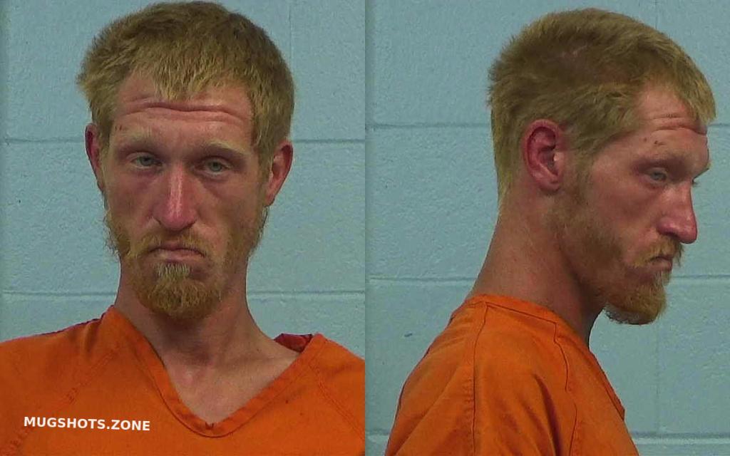 Gibson Marshall Wayne 08 16 2025 Williamson County Mugshots Zone
