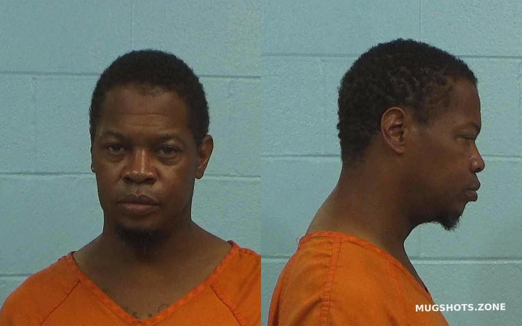 SIRKNOW CARL KAREEN 08/16/2025 - Williamson County Mugshots Zone