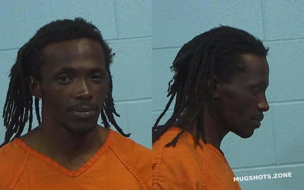 GADDIS TYREE LEVON 08/19/2025 - Williamson County Mugshots Zone