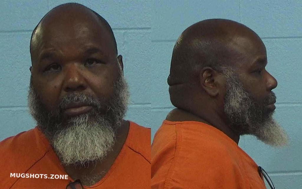 HEARN TERRY LYNN 08/20/2025 - Williamson County Mugshots Zone