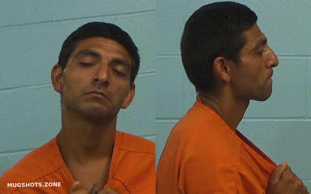 MATA FERMIN JR. 08/21/2025 - Williamson County Mugshots Zone
