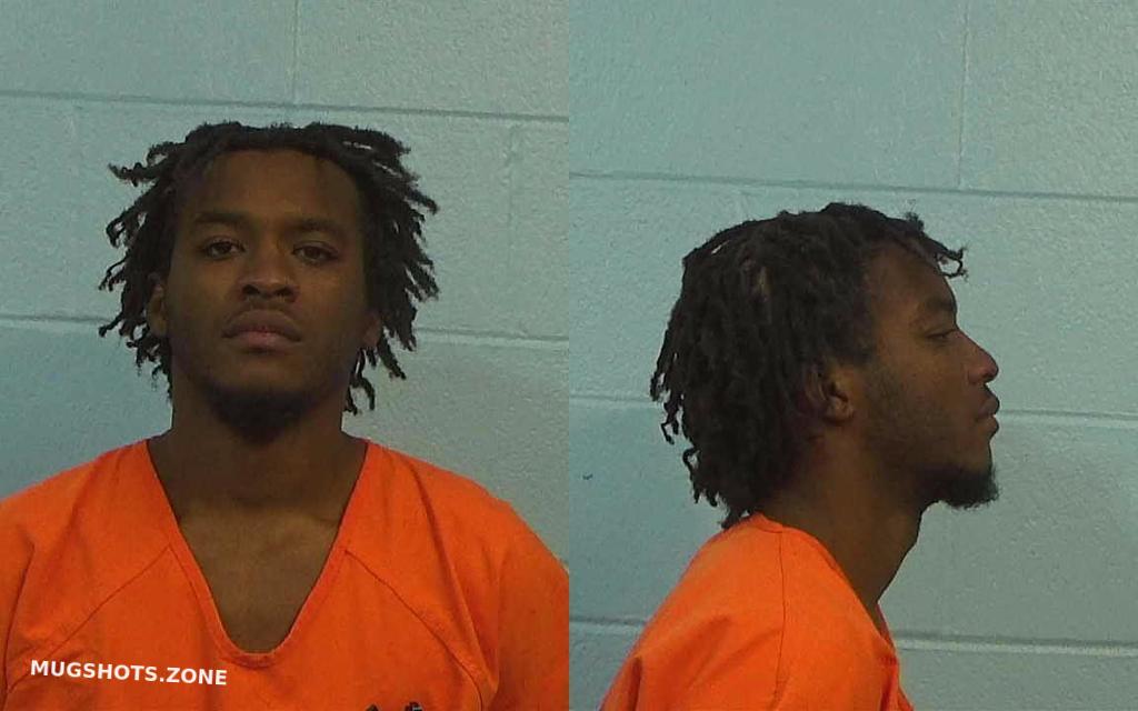 PERRY KWAME MALIK 08/23/2025 - Williamson County Mugshots Zone