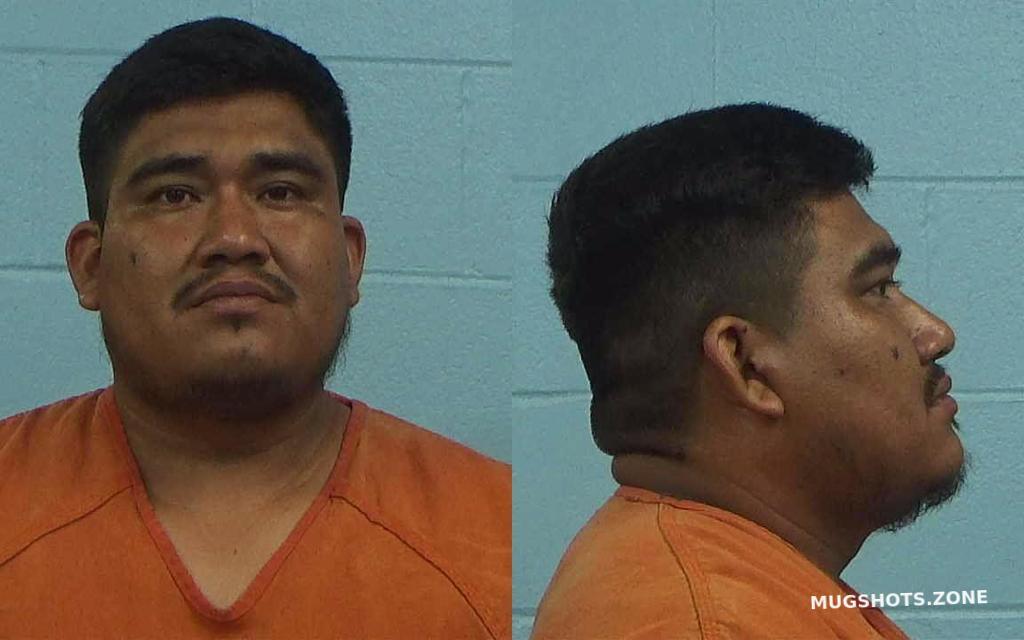NAVA-NAVA JULIO CESAR 08/28/2025 - Williamson County Mugshots Zone