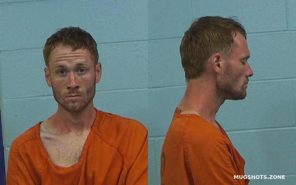 HARRIS ANDREW TIMOTHY 08/30/2025 - Williamson County Mugshots Zone