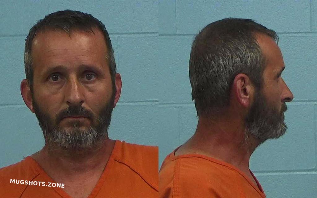 JANIS RANDY LEE 08/30/2025 - Williamson County Mugshots Zone