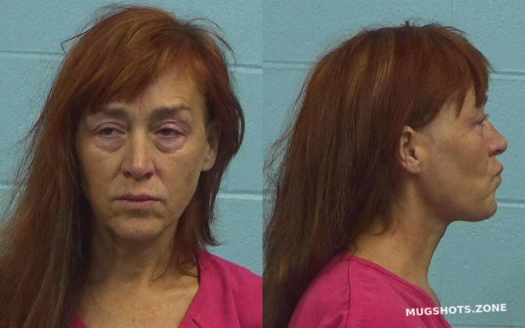 SAVOY DAWN LYNNETTE 10/19/2025 - Williamson County Mugshots Zone