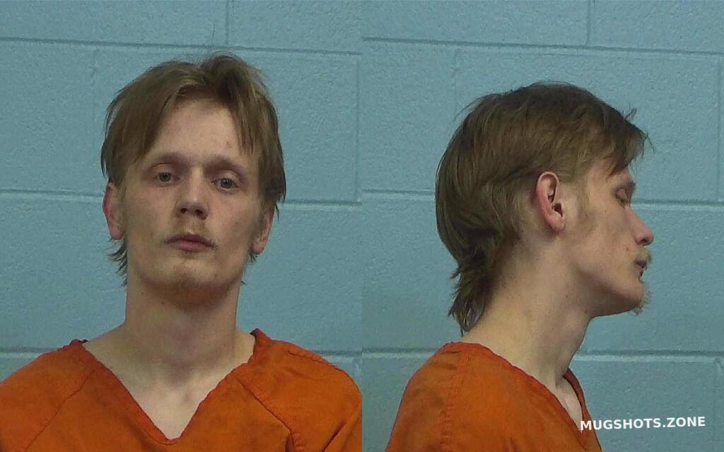 SMITH DEVIN JACOB-REED 10/23/2025 - Williamson County Mugshots Zone