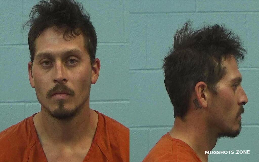 LEMENSE JACOB ERIC 10/27/2025 - Williamson County Mugshots Zone