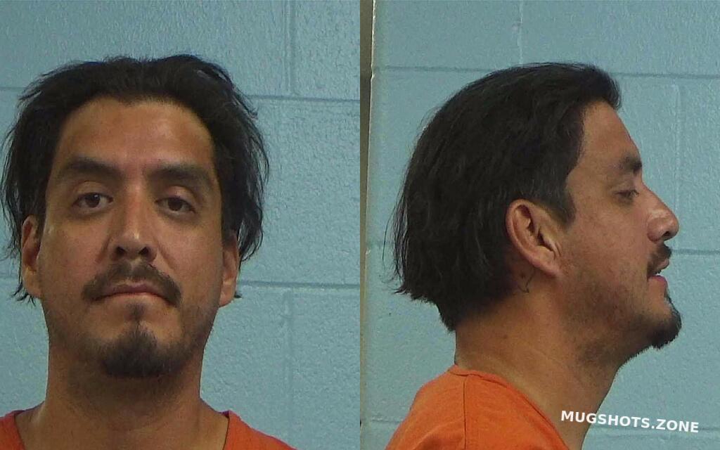 TORRES LUIS 11/03/2025 - Williamson County Mugshots Zone