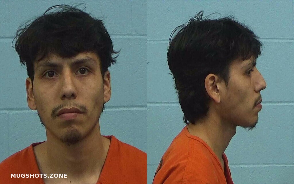 HERNANDEZ ALEXIS DANIEL 01/05/2026 - Williamson County Mugshots Zone