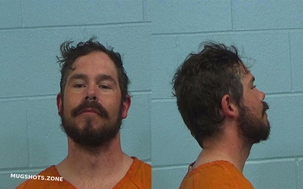 HARRIS DILLON 01/06/2026 - Williamson County Mugshots Zone