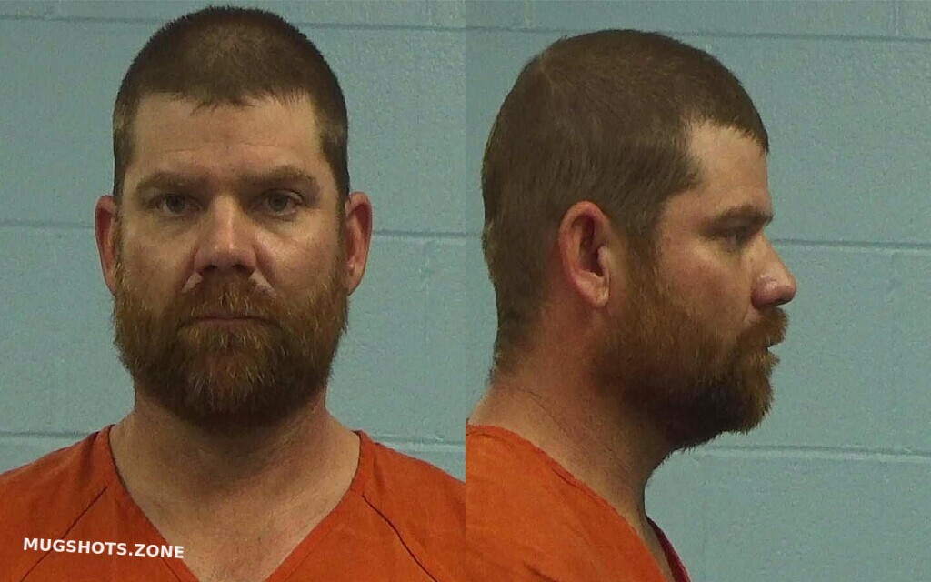 WOMACK WILLIAM DAVID 01/08/2026 - Williamson County Mugshots Zone