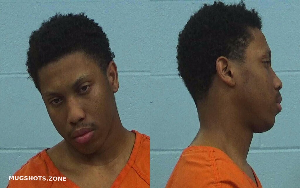 WASHINGTON TE'SHON 01/17/2026 - Williamson County Mugshots Zone