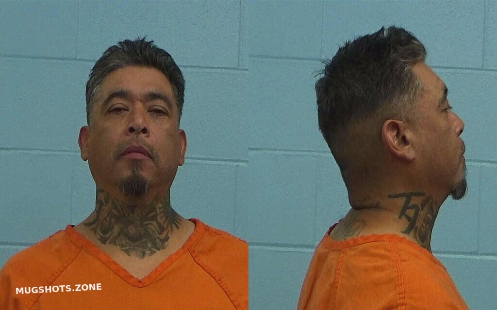 PALOMO PABLO JR. 01/18/2026 - Williamson County Mugshots Zone