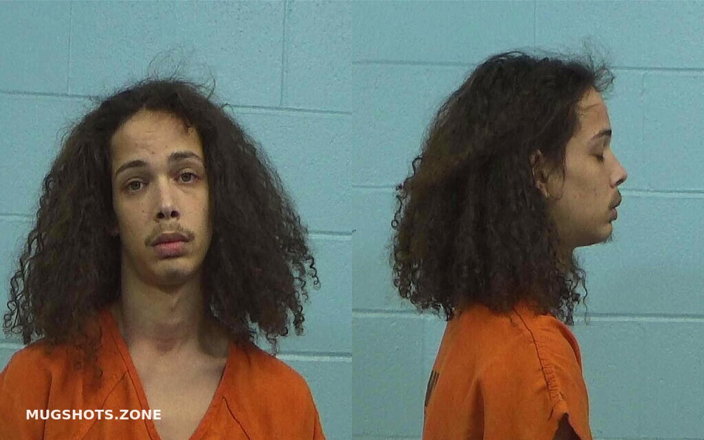 BARRON QUINTON ELIJAH JAMES 01/27/2026 - Williamson County Mugshots Zone