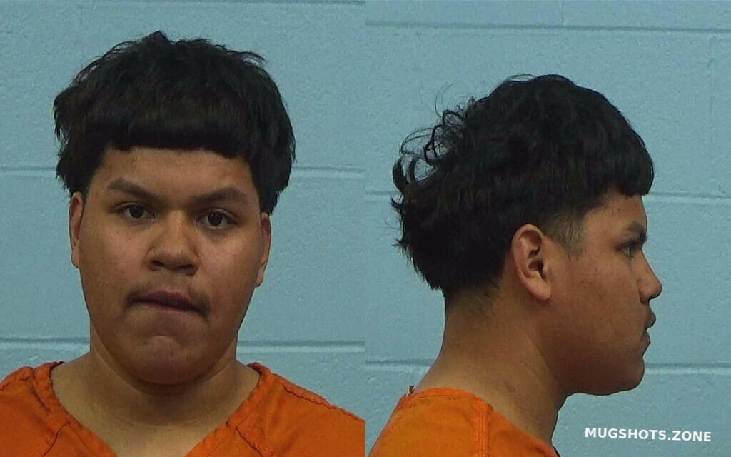 ALBA ELIJAH 02/01/2026 - Williamson County Mugshots Zone
