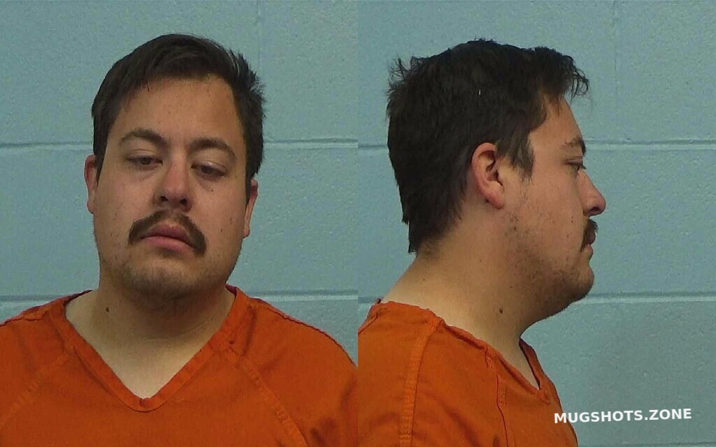 HUTCHINSON ELIJAH NICHOLAS 02/01/2026 - Williamson County Mugshots Zone