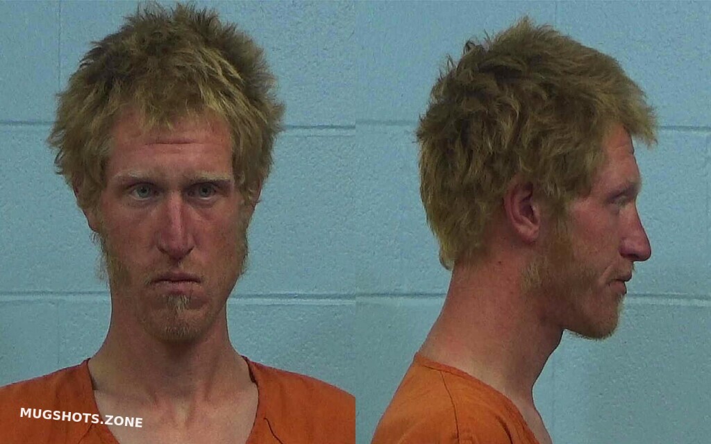 GIBSON MARSHALL WAYNE 02/07/2026 - Williamson County Mugshots Zone