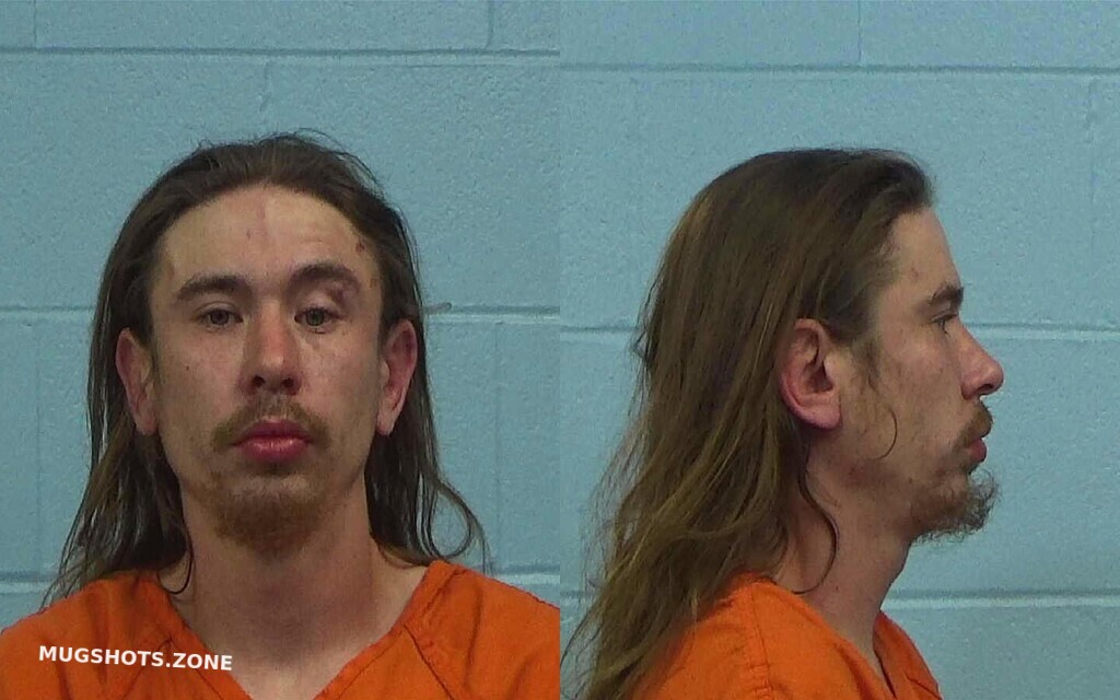 SIMS CHRISTOPHER MICHAEL 02/24/2026 - Williamson County Mugshots Zone