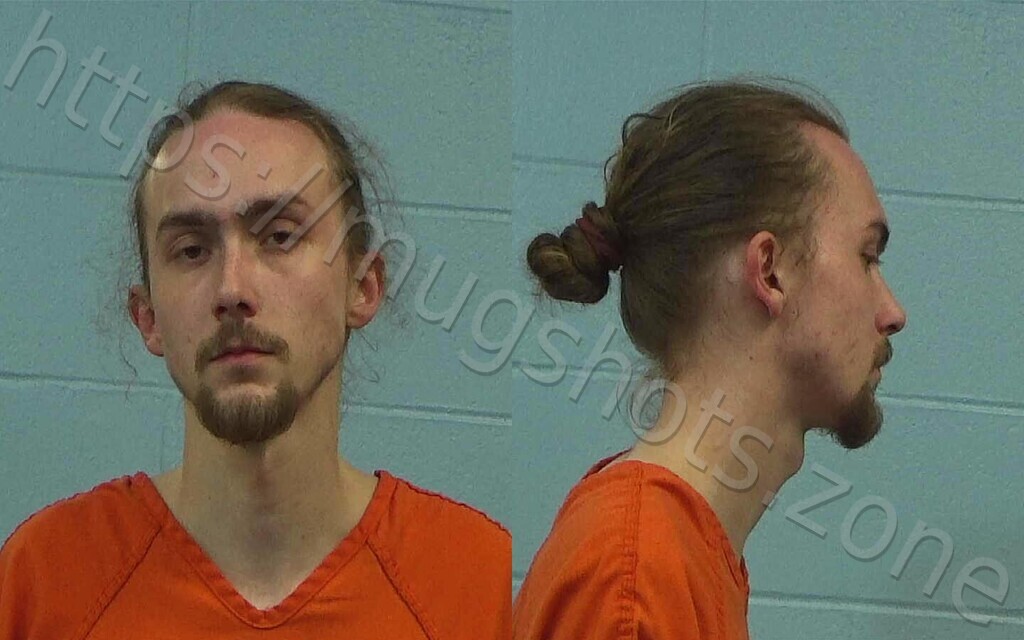 HALLER JACOB BENSON 03/20/2026 - Williamson County Mugshots Zone
