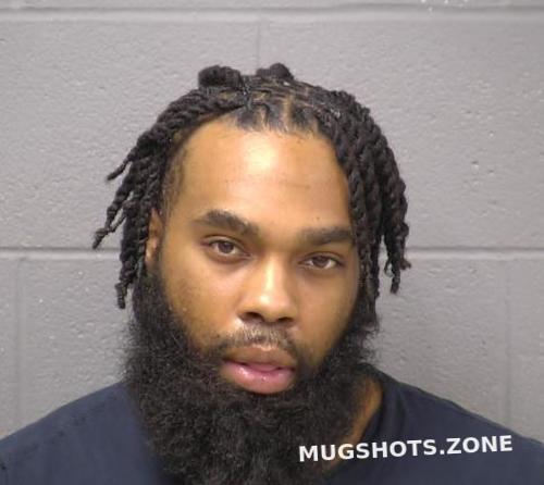 ROBERSON DANIEL MARTIN 01/12/2021 - Will County Mugshots Zone