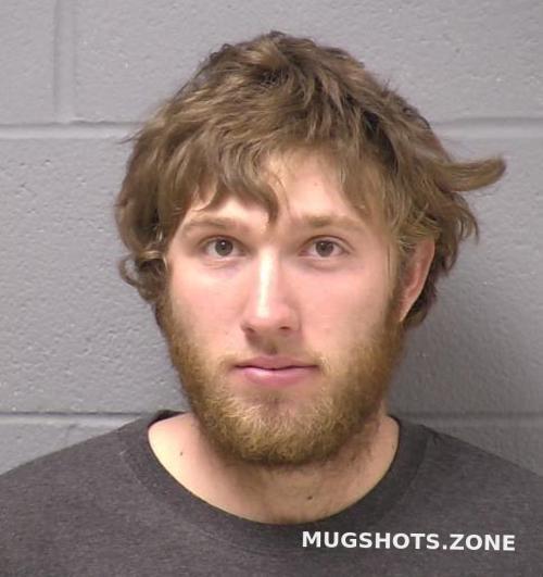 BENJAMIN COLE J 03/18/2021 - Will County Mugshots Zone