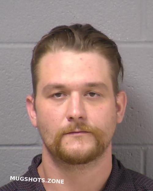 VAN DYKE AUSTIN J 04/13/2021 - Will County Mugshots Zone