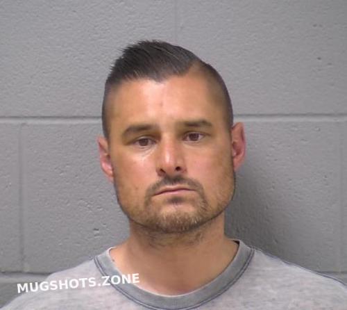 SCHABES JUSTIN L 06/20/2021 - Will County Mugshots Zone