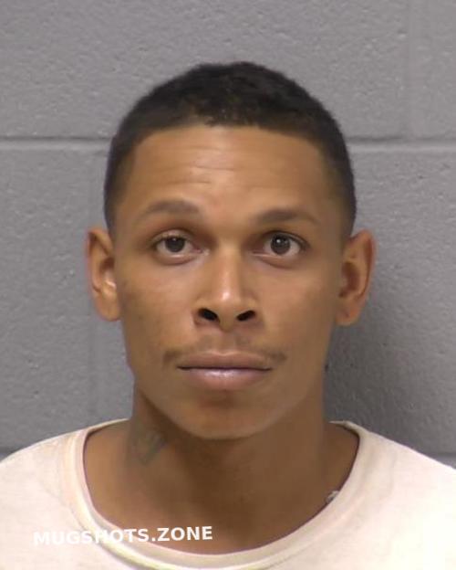 WILLIAMS JORDAN A 08/25/2021 - Will County Mugshots Zone