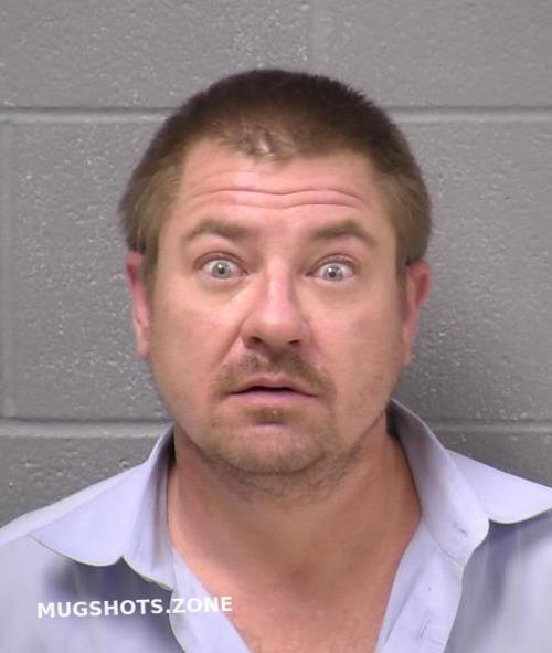 GAFFNEY TIMOTHY C 11/04/2021 - Will County Mugshots Zone