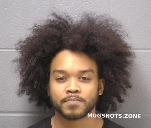 NICHOLAS TERRENCE C 03/17/2022 - Will County Mugshots Zone
