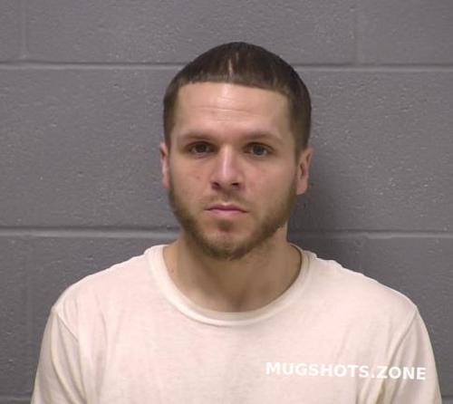 MIHALIK BRANDON J 03/26/2022 - Will County Mugshots Zone