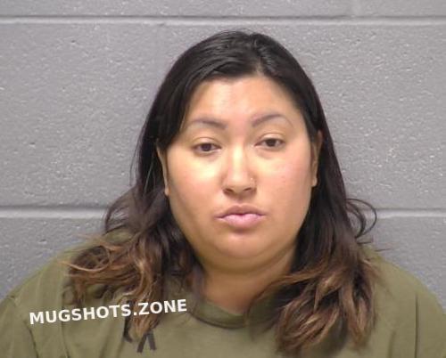 MIO GERRIE M 04/26/2022 - Will County Mugshots Zone