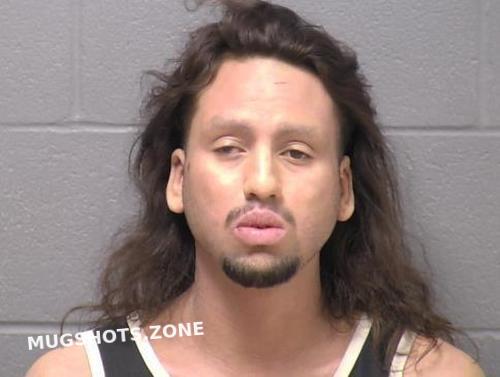 LECHUGA BRANDON F 05/10/2022 - Will County Mugshots Zone