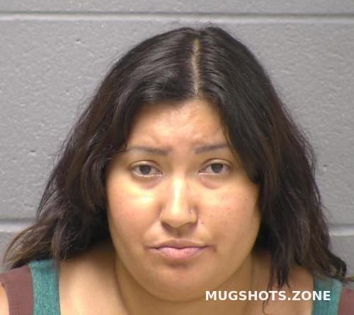 MIO GERRIE M 06/06/2022 - Will County Mugshots Zone