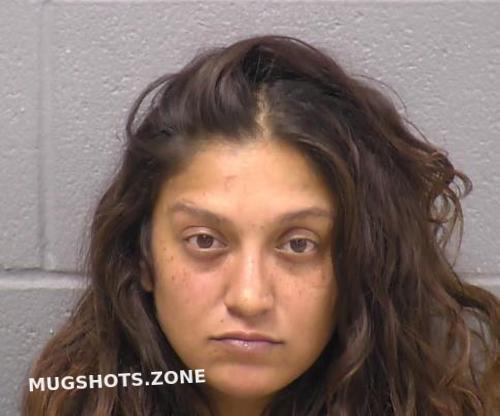 NIEVES ANGELICA EMILY 06/29/2022 - Will County Mugshots Zone