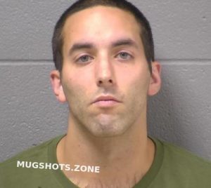 Will County Mugshots Zone