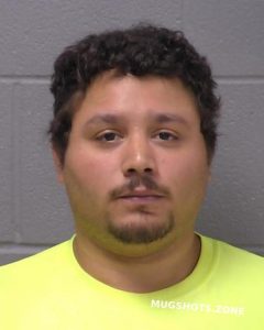 Will County Mugshots Zone