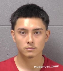 Will County Mugshots Zone