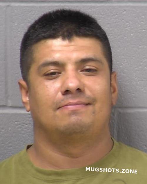 MALAVE EDWIN X 08/11/2022 - Will County Mugshots Zone