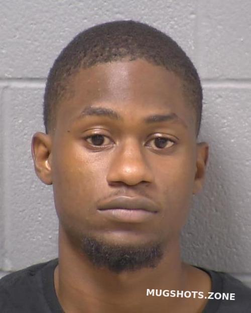 WILLIAMS XAVIER 08/13/2022 - Will County Mugshots Zone