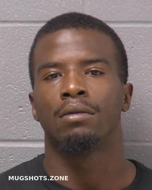 ANDERSON DAKARI T 08/15/2022 - Will County Mugshots Zone