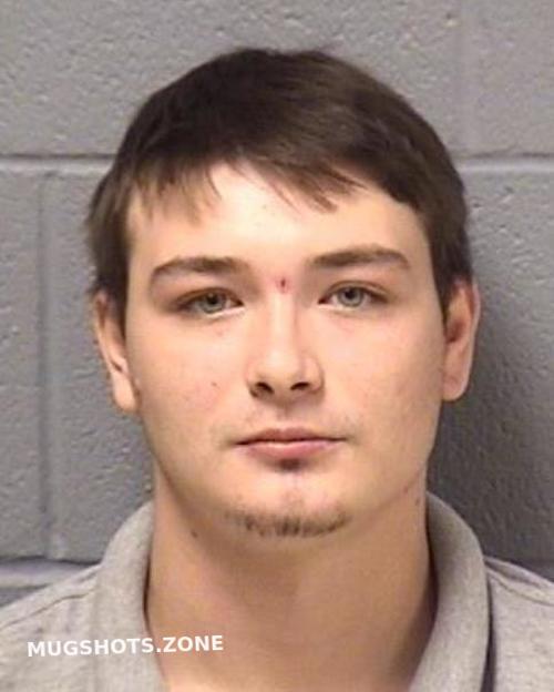 RIOS NICHOLAS R 08/23/2022 - Will County Mugshots Zone