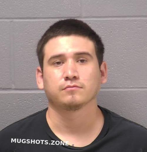 ANTONSON MICHAEL C 08/29/2022 - Will County Mugshots Zone