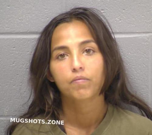 ELY CHANEL 09/02/2022 - Will County Mugshots Zone