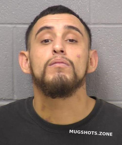 TAYLOR ALEXANDER L 10/17/2022 - Will County Mugshots Zone